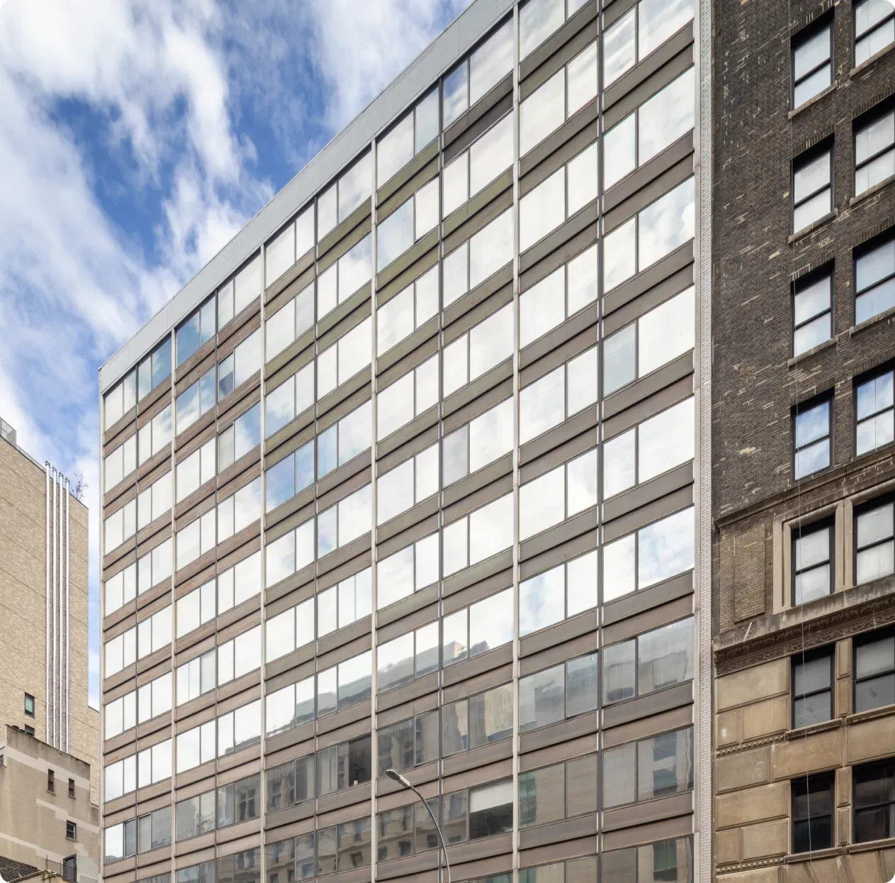 175 Remsen Street | Treeline