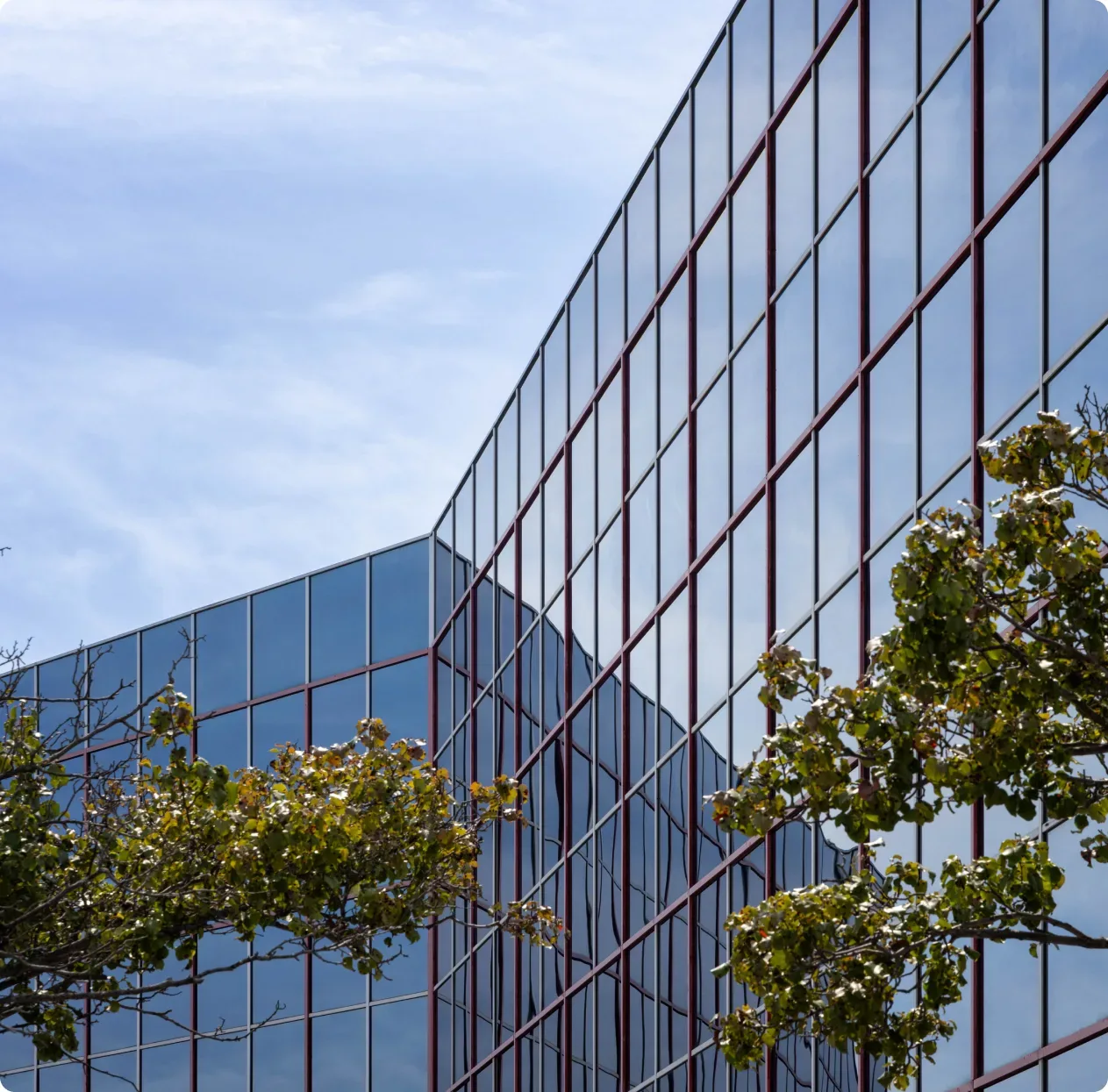 400 Garden City Plaza | Treeline