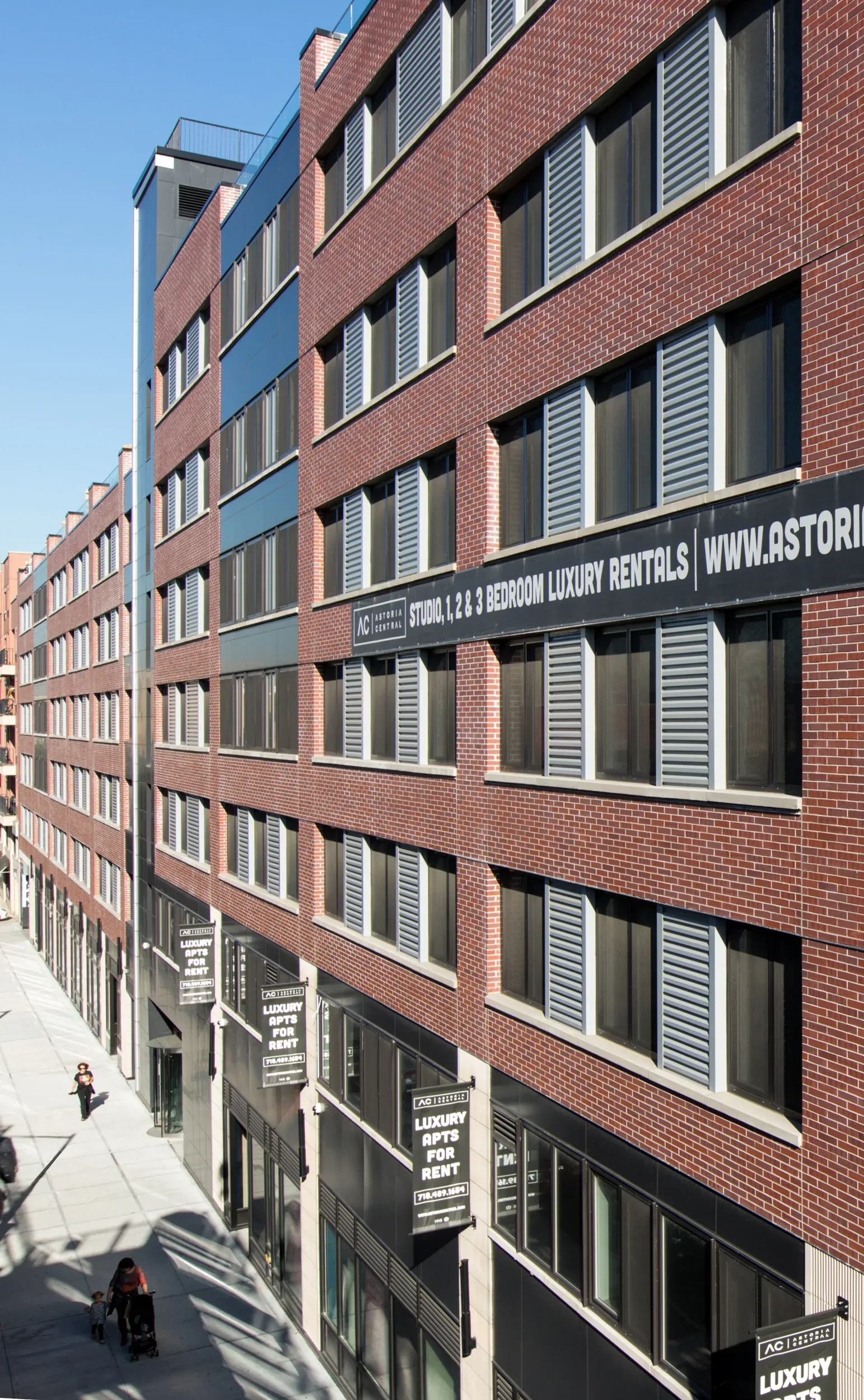 Astoria Family-Owned Lot | Treeline