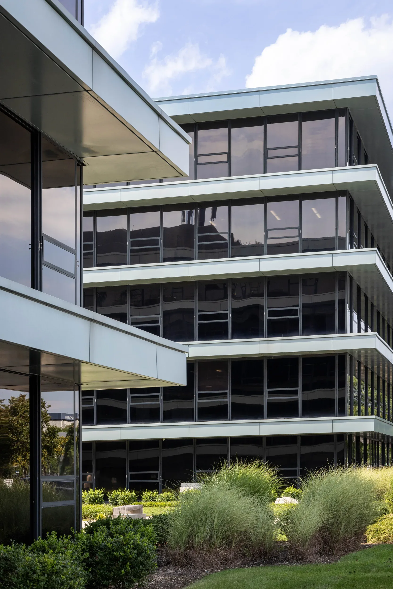 Garden City Plaza | Treeline